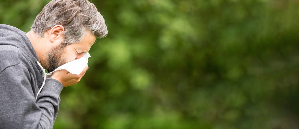 Hooikoorts behandeling en kenmerken | cerascreen